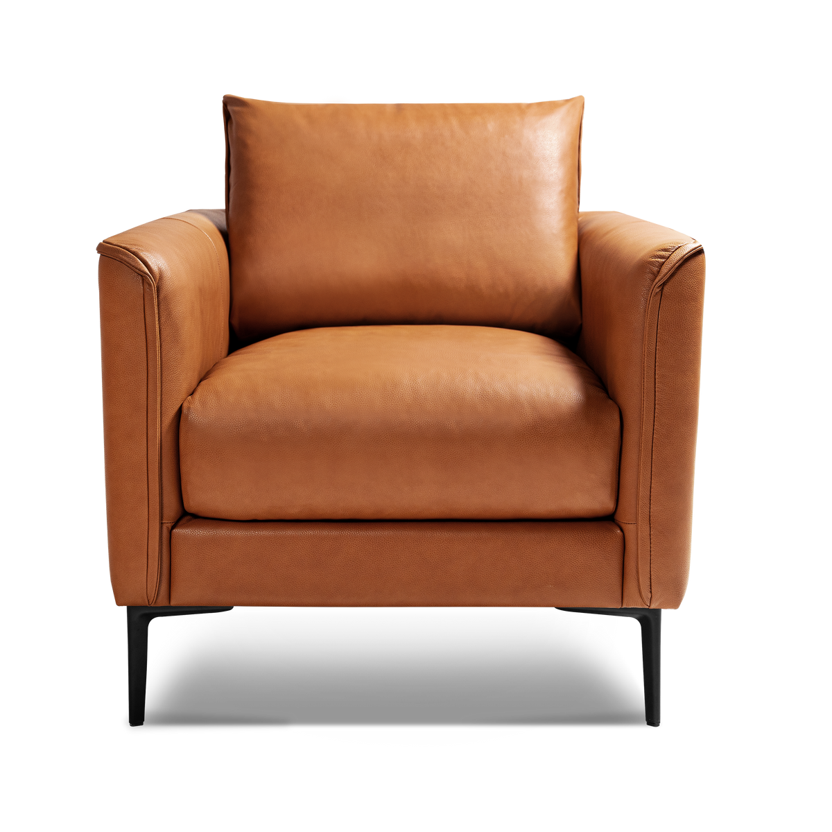 Jasper Leather Accent Chair – Valencia Theater Seating Australia